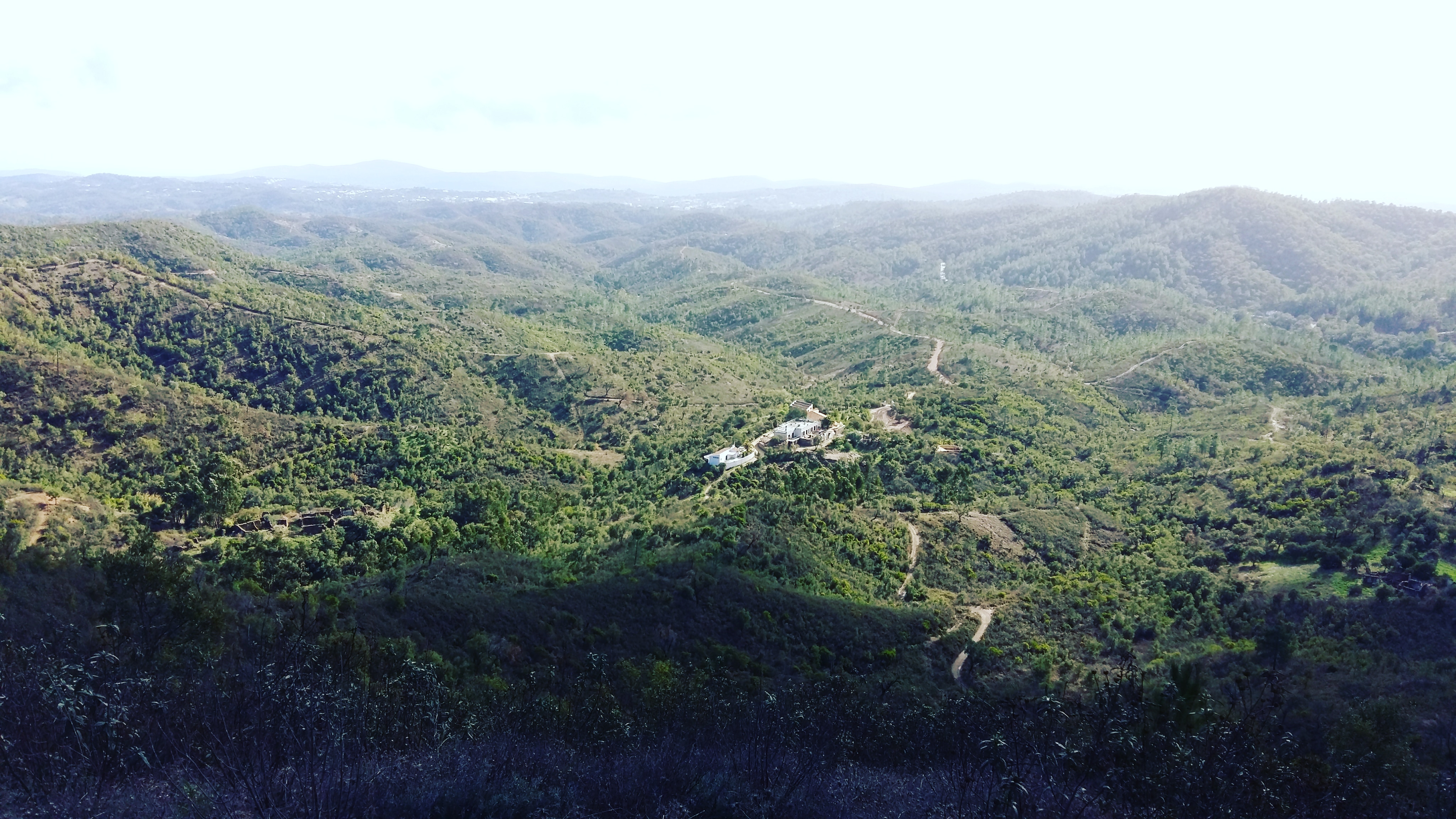 Wild View Retreat, Portugal – Rob and the Plants